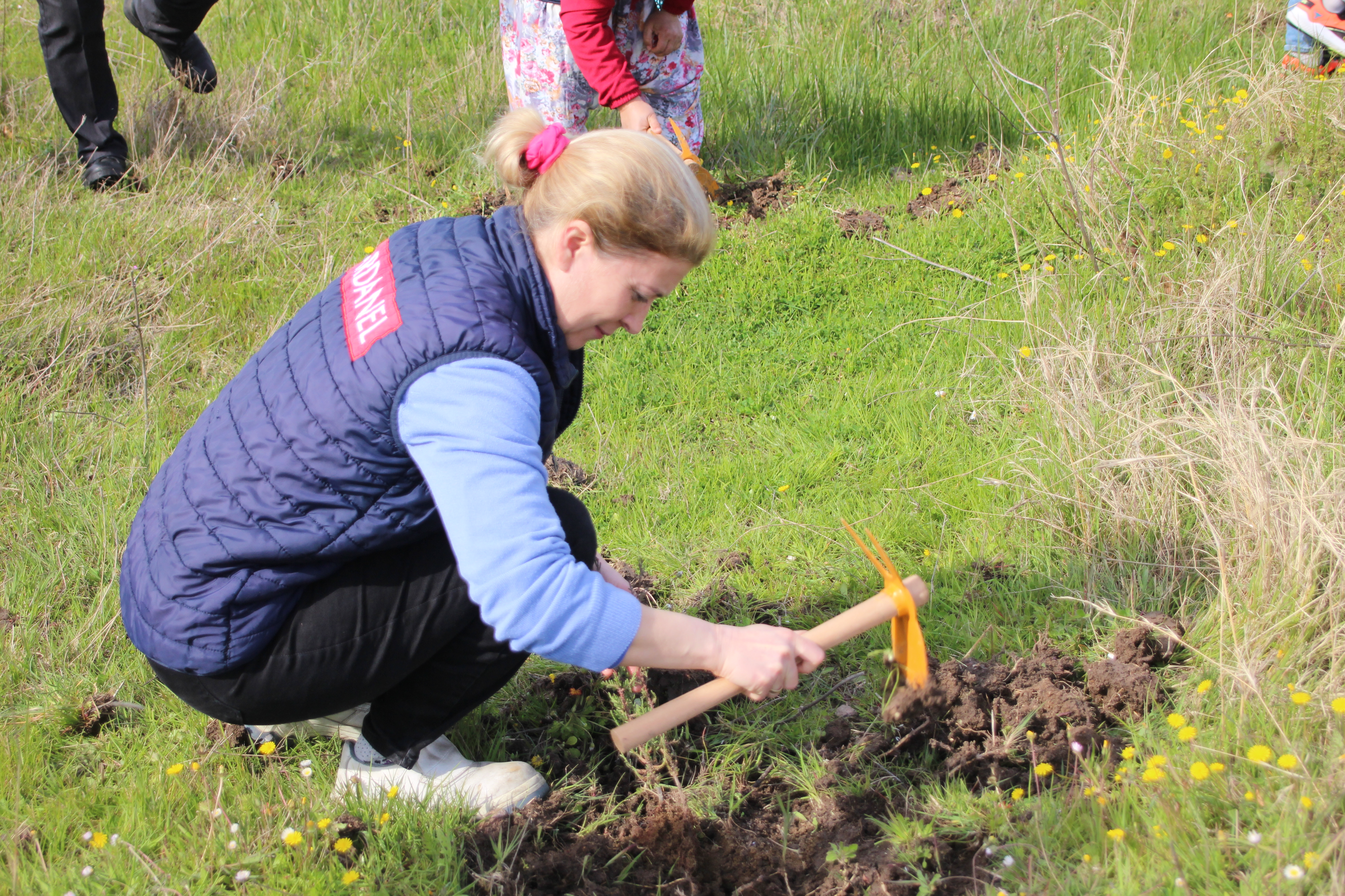 Dardanel Celebrated It's 40th Anniversary By Greening Çanakkale Wit...